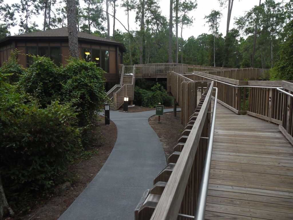 The Treehouse Villas at Disney's Saratoga Springs Resort & Spa Reviews ...