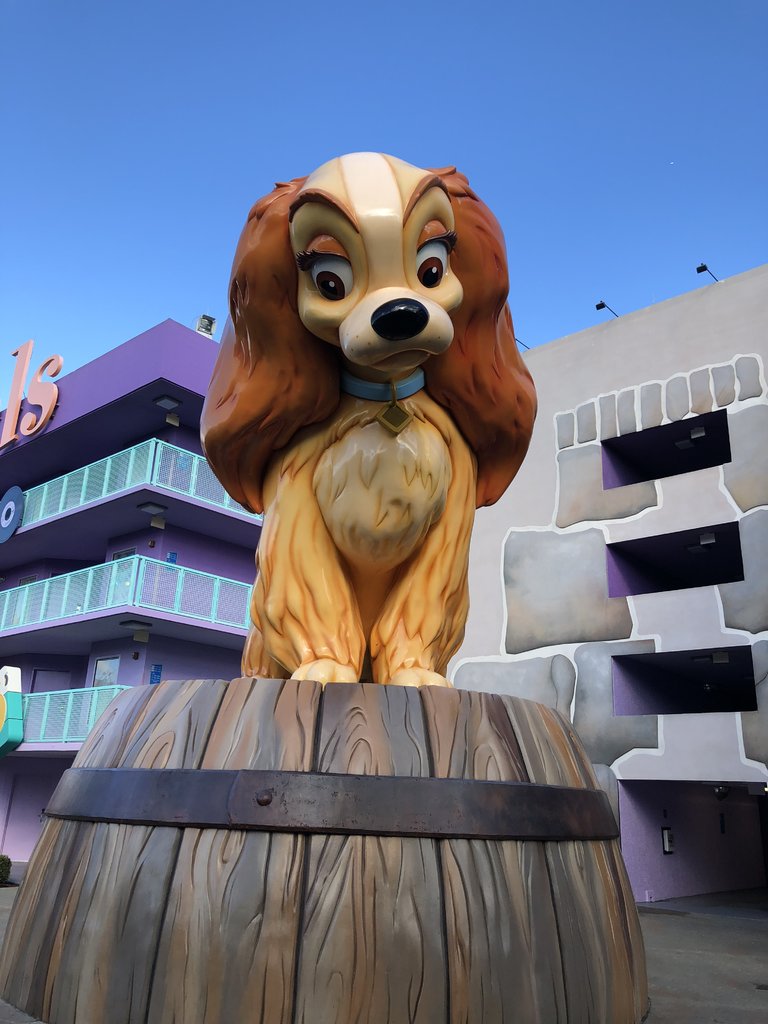 How Not to Vacation in Disney TR | DVCinfo Community