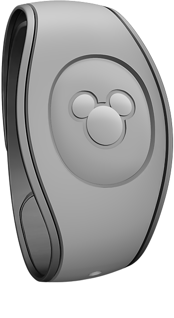 premium / complimentary MagicBands | DVCinfo Community