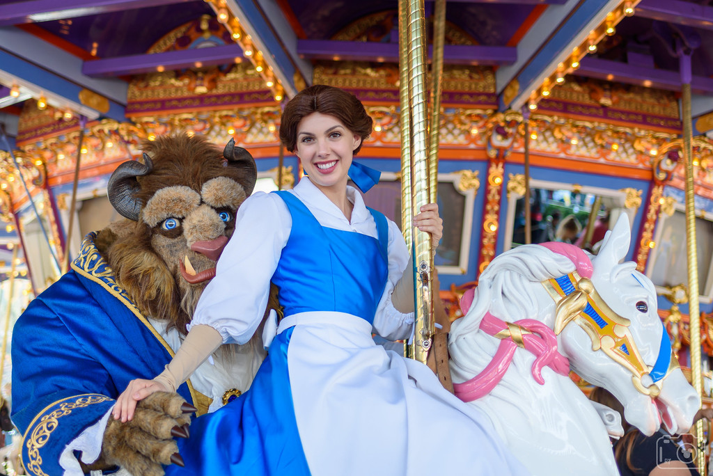 Disneyland-Batuu Christmas 2019 | DVCinfo Community