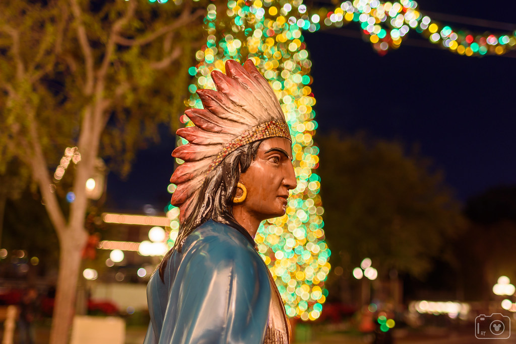 Disneyland-Batuu Christmas 2019 | DVCinfo Community
