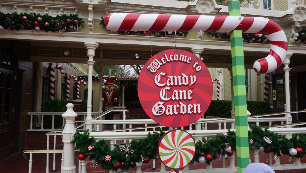 How Not to Vacation in Disney TR | DVCinfo Community