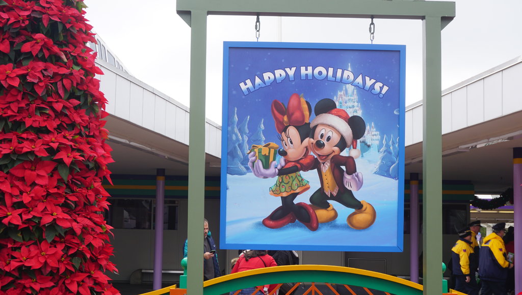 How Not to Vacation in Disney TR | DVCinfo Community