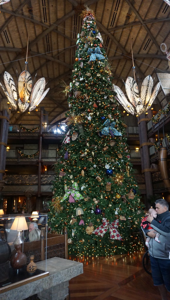 How Not to Vacation in Disney TR | DVCinfo Community