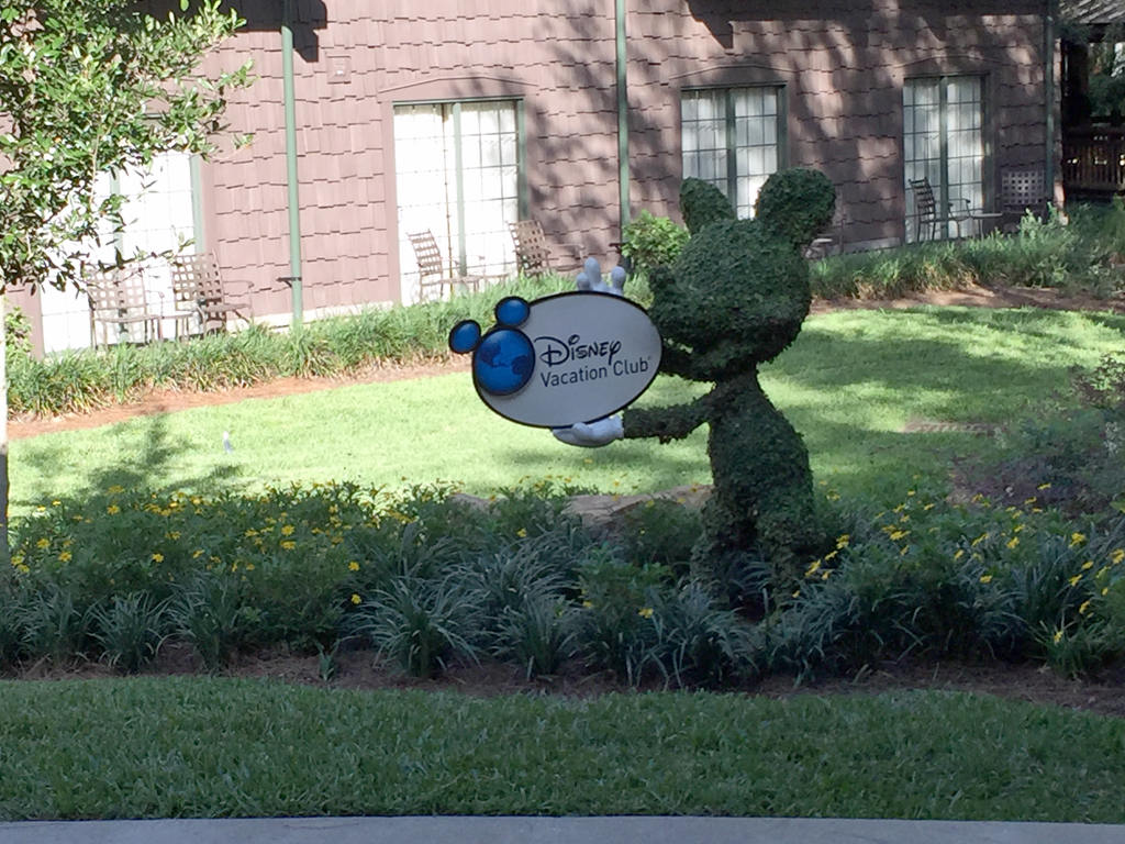 The Evolution Of Photos With Criteria | DVCinfo Community