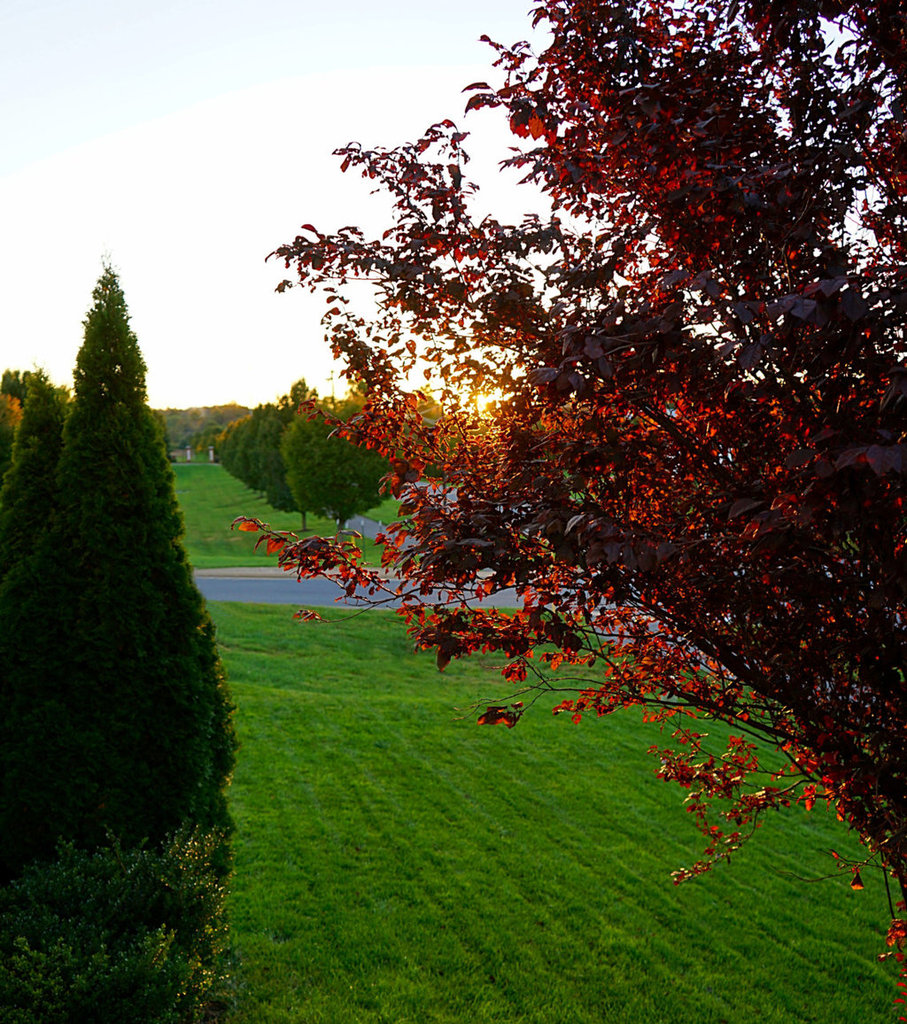 Photoshop CC...I am kind of stoked.. | DVCinfo Community