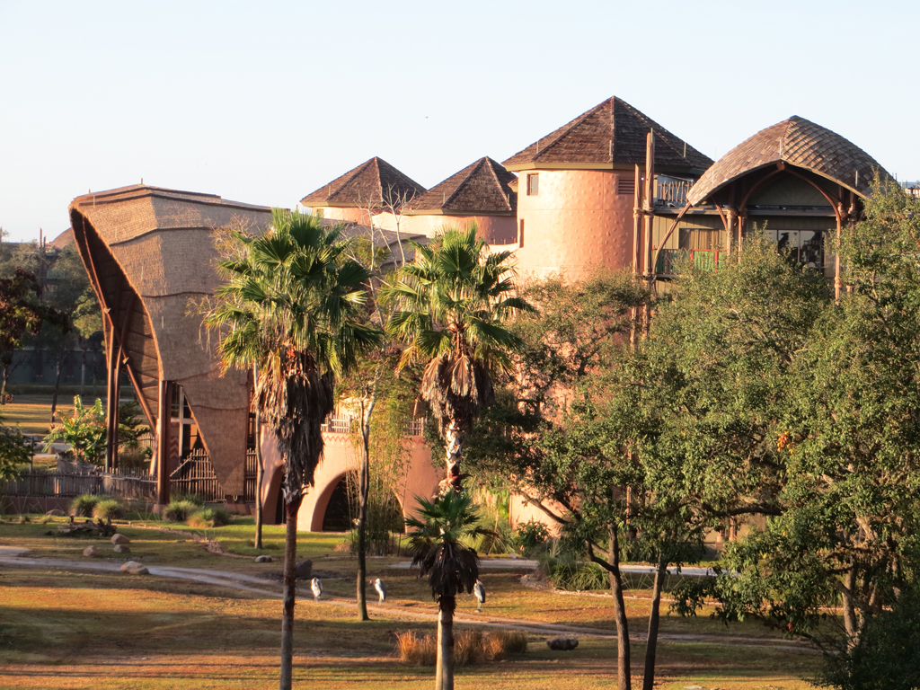 AKV Photo Thread | DVCinfo Community