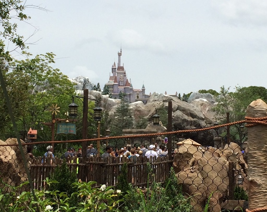 Disney Daily Photo Roll | DVCinfo Community