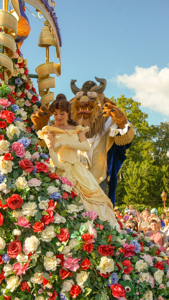Disney Daily Photo Roll | DVCinfo Community