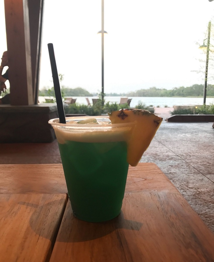 Days Without Disney: Picture Chain | DVCinfo Community