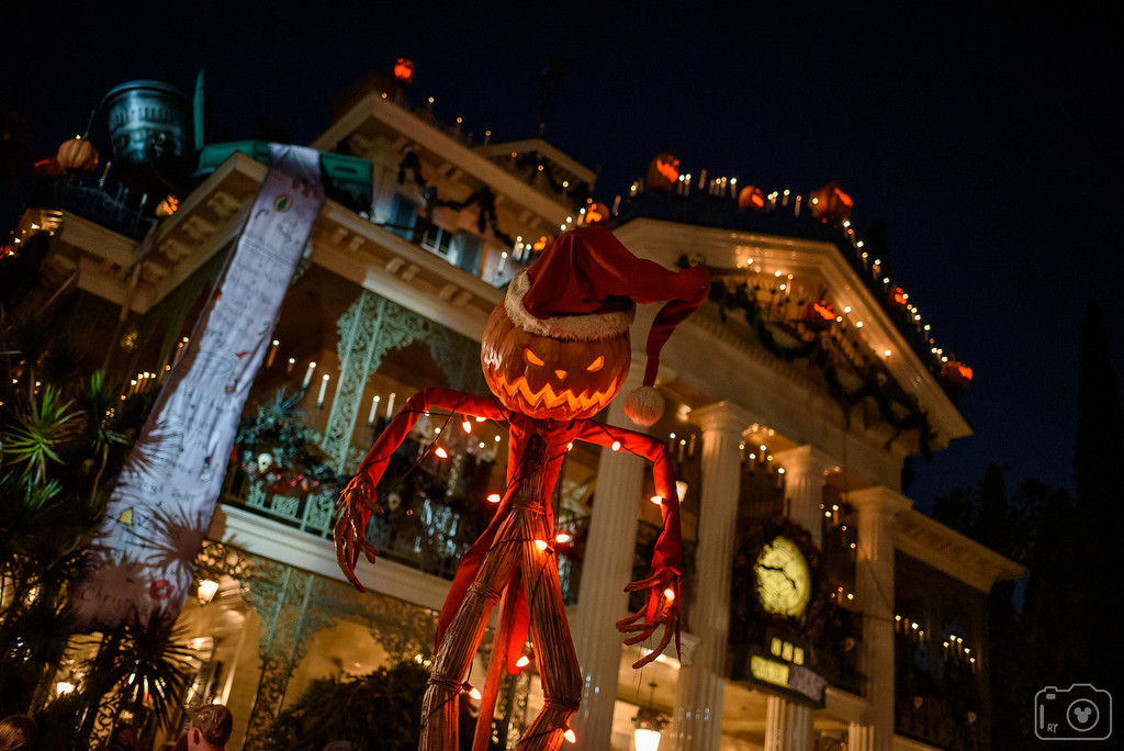 Disneyland-Batuu Christmas 2019 | DVCinfo Community