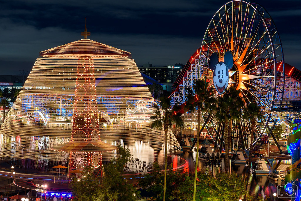 Disneyland-Batuu Christmas 2019 | DVCinfo Community