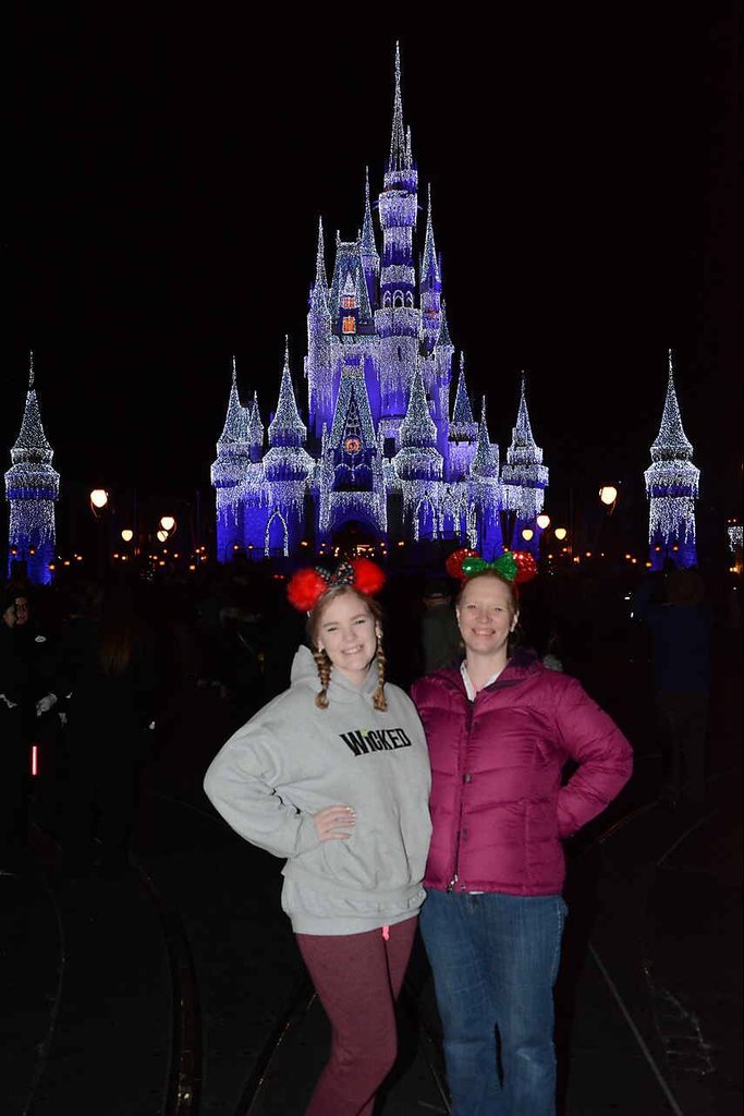 How Not to Vacation in Disney TR | DVCinfo Community