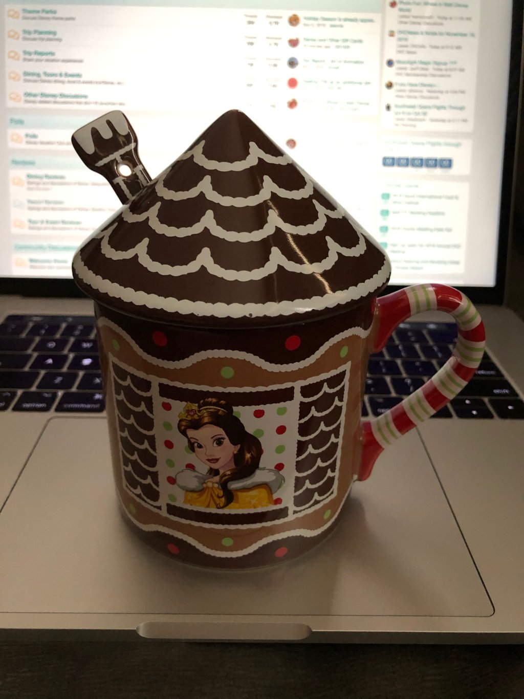 Gingerbread Around the World | DVCinfo Community