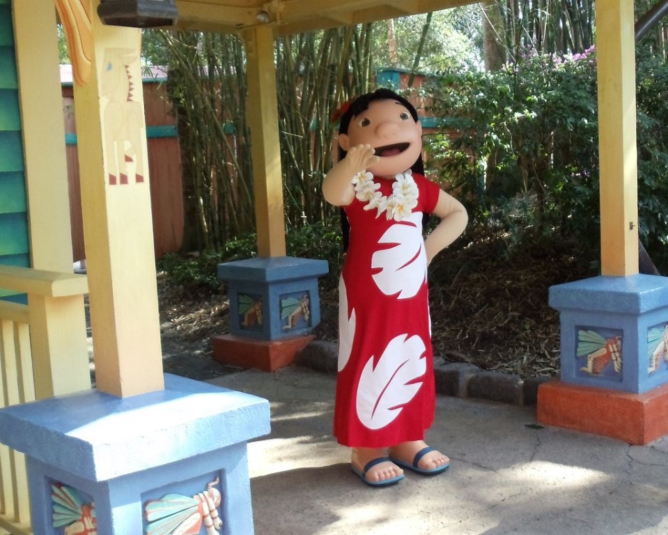 Disney Daily Photo Roll | DVCinfo Community