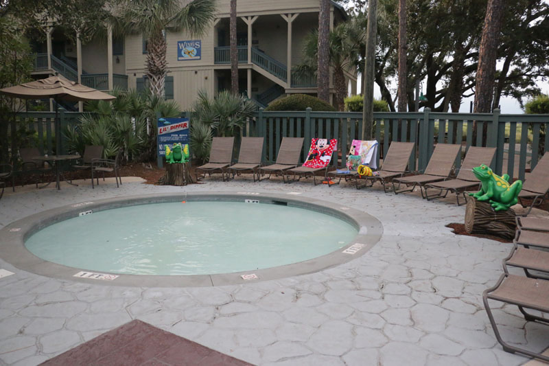 Disney's Hilton Head Island Resort Owners & Friends | DVCinfo Community