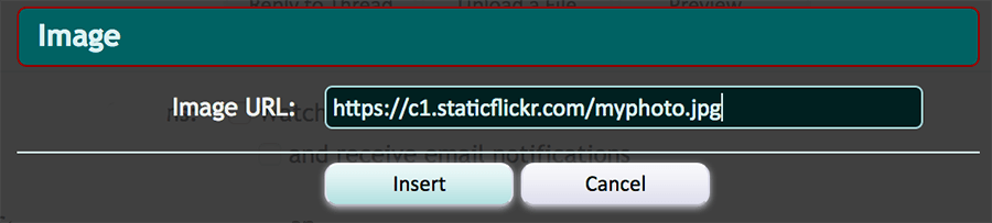 How to Share Photos and Images | DVCinfo Community
