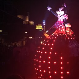 DCA PTN Minnie.jpg | DVCinfo Community