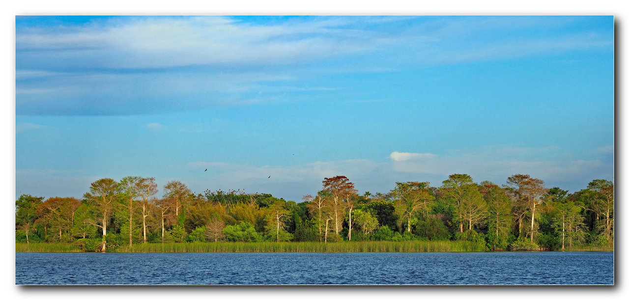 Bay Lake | DVCinfo Community