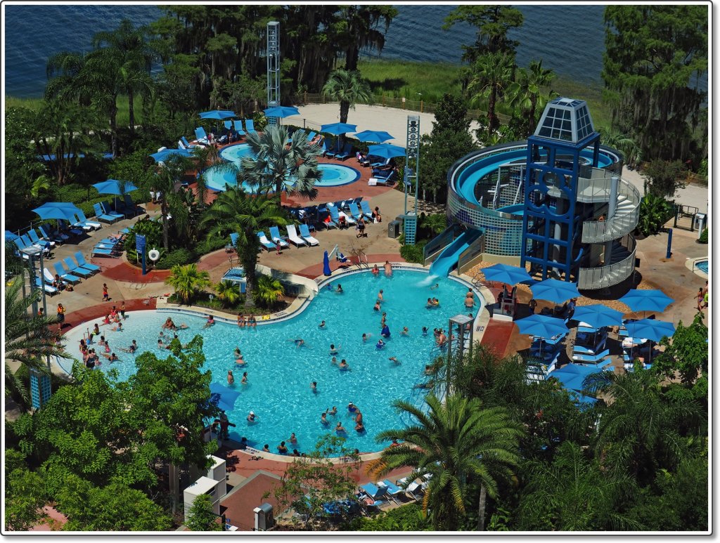 Busy BLT Pool | DVCinfo Community