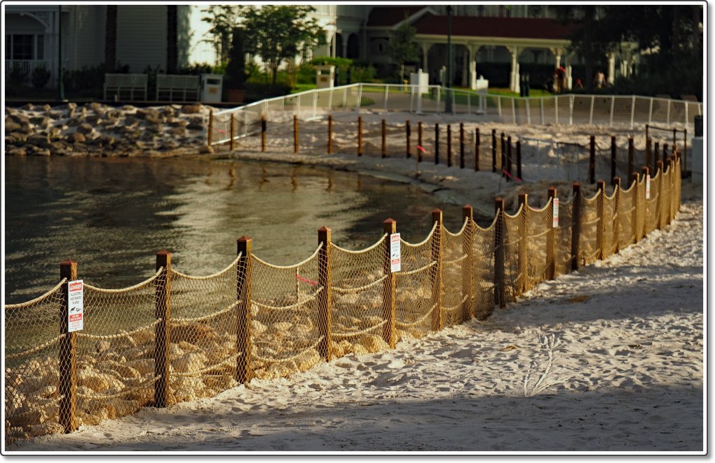 Gator Fence at the GF | DVCinfo Community