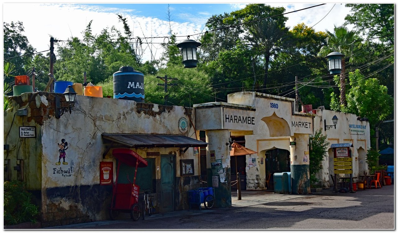 Harambe | DVCinfo Community