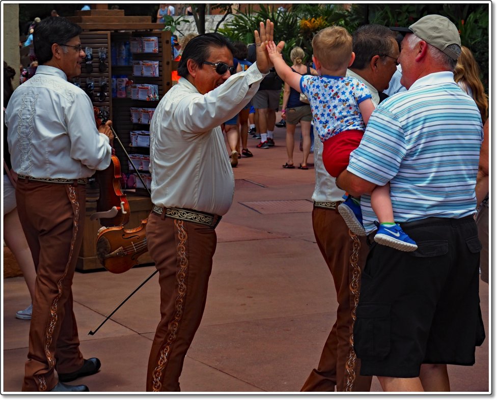 High Five! | DVCinfo Community