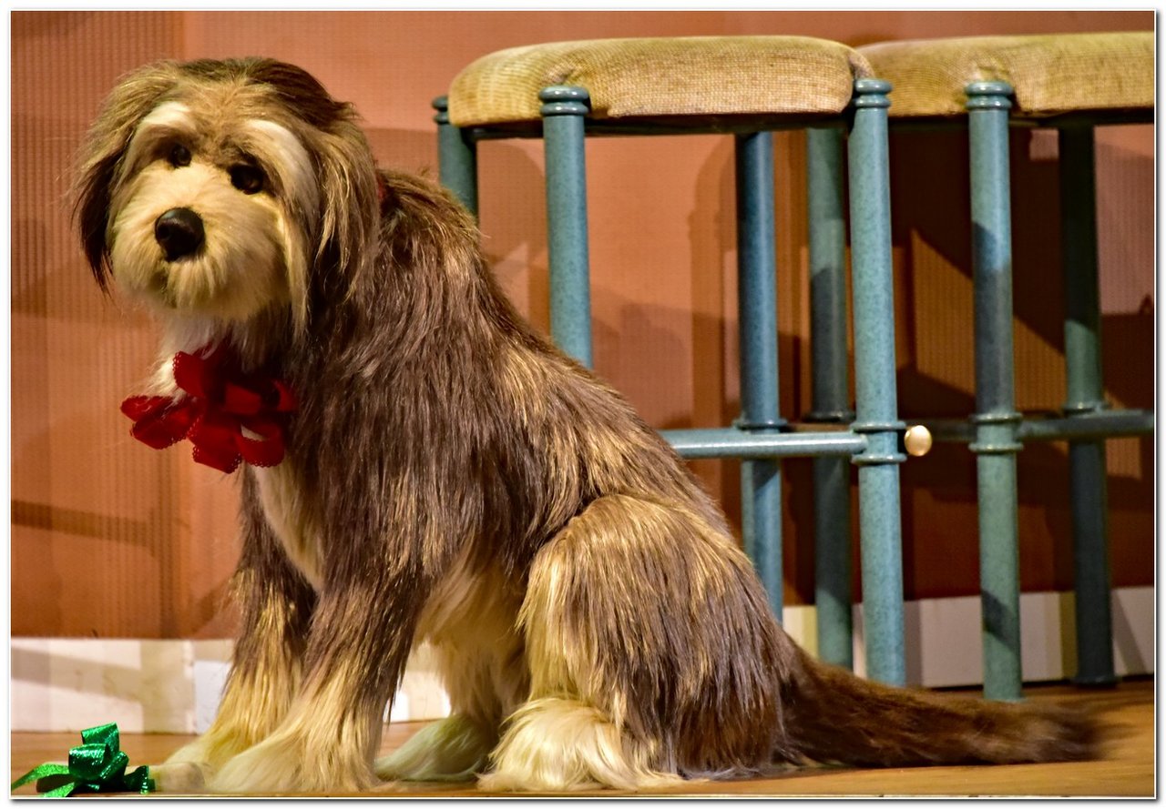 Inside the Carousel of Progress | DVCinfo Community