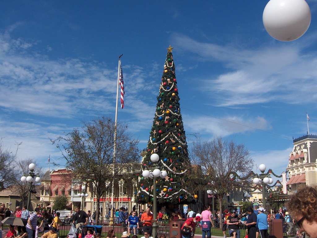 MK Tree | DVCinfo Community