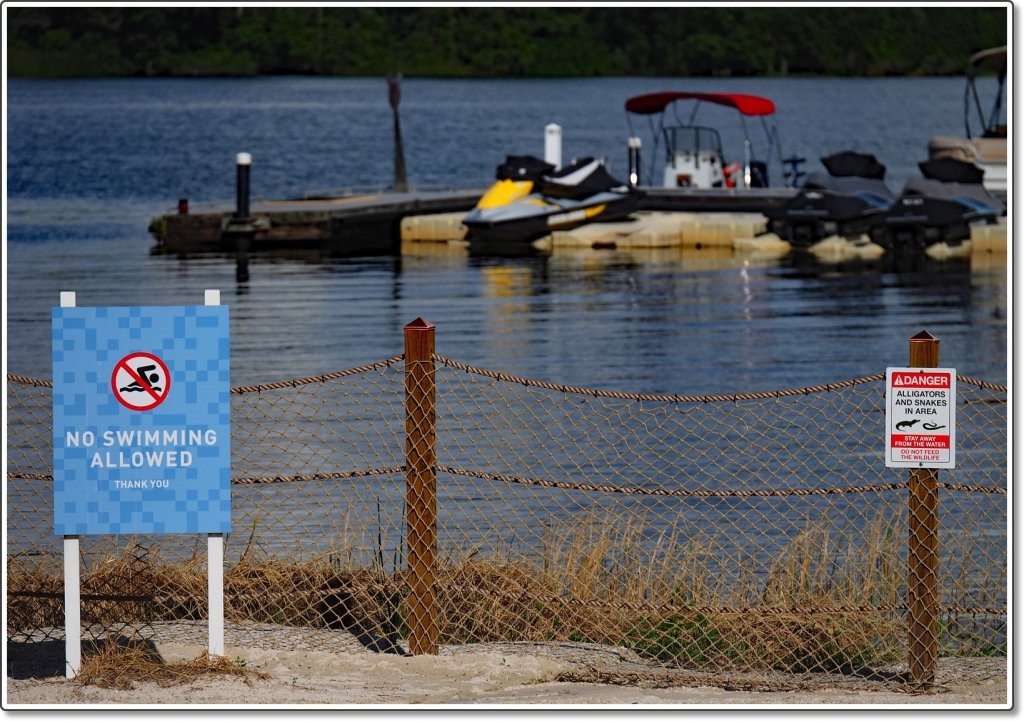 New Gator Fence at Contemporary Marina | DVCinfo Community
