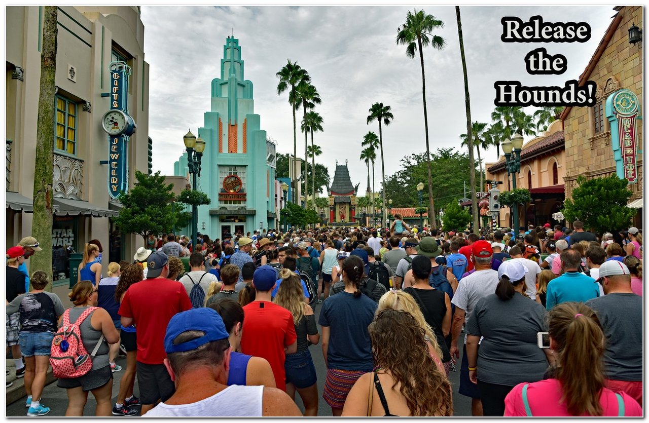 Release the Hounds! | DVCinfo Community