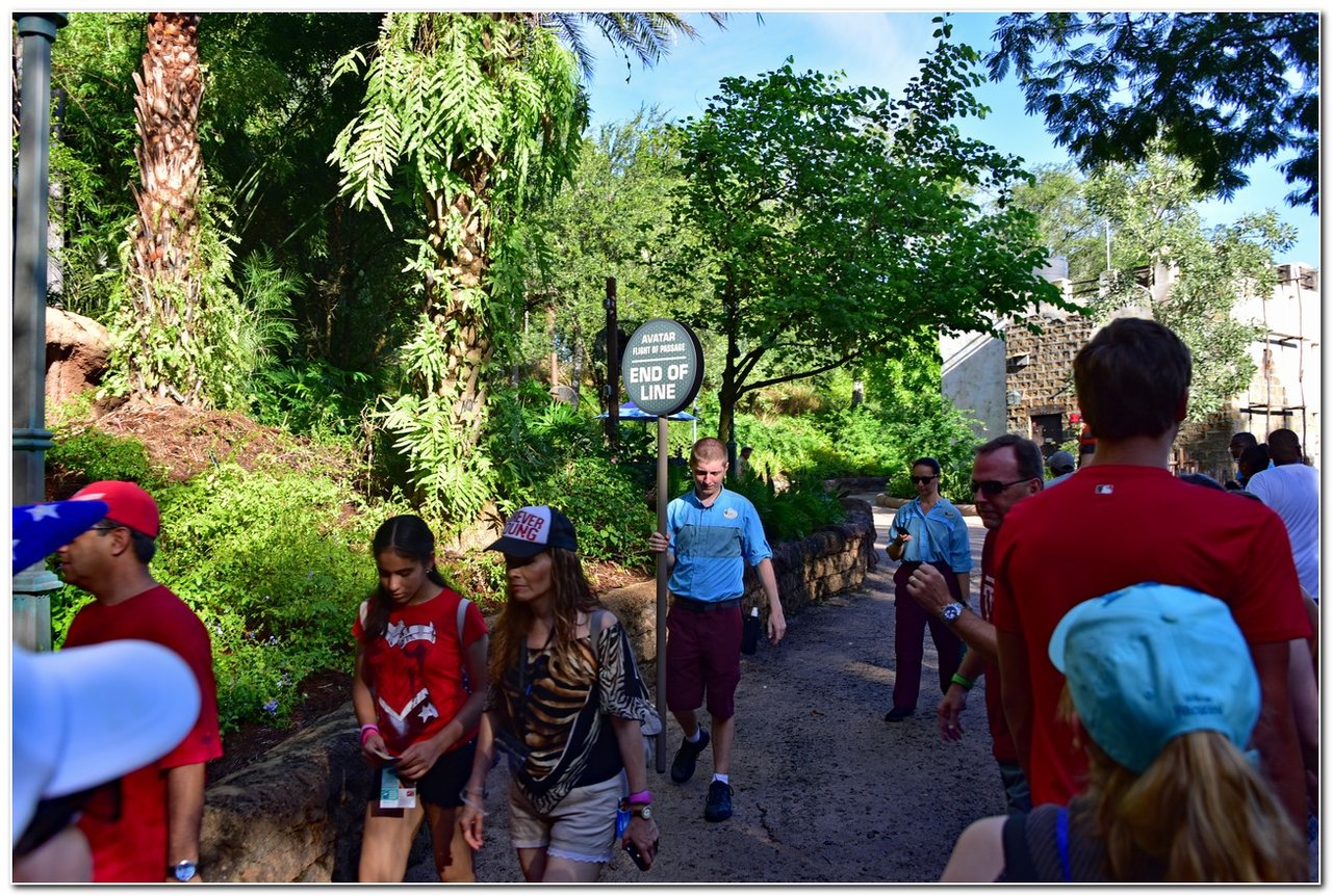 The LONGEST Queue ever seen.... | DVCinfo Community