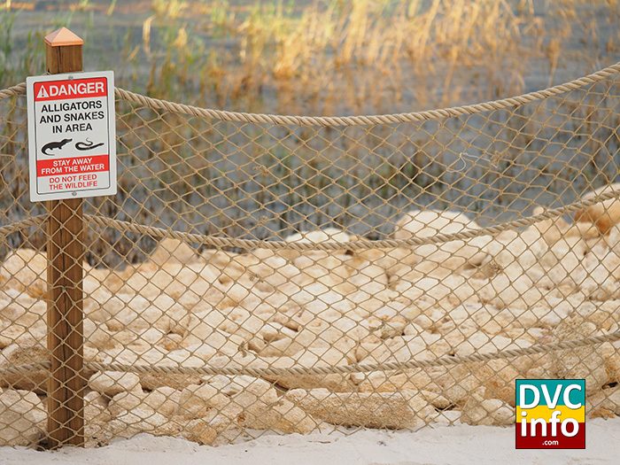 Rocks added to Fencing along Shorelines at Disney World - DVCinfo